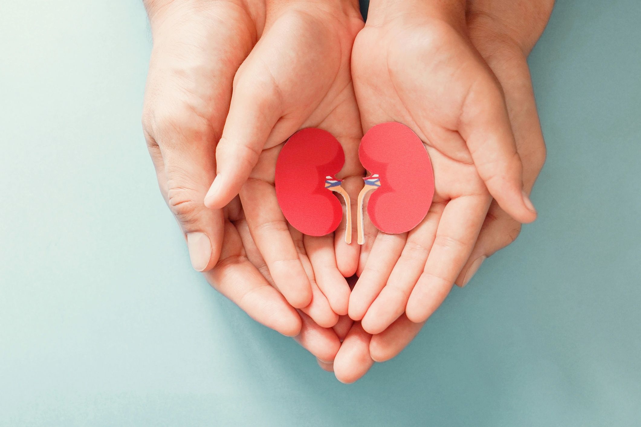 Kidney Donation Info - Kidney 4 Boyce